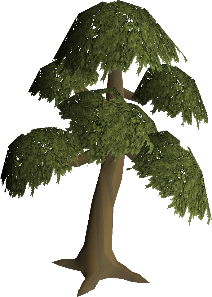 Yew tree (Construction) | Old School RuneScape Wiki | Fandom