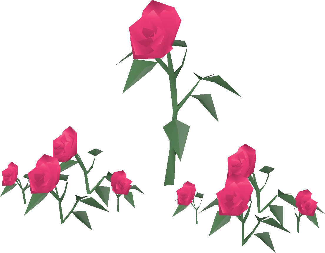 Roses | Old School RuneScape Wiki | Fandom