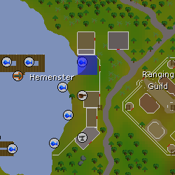 Sinister Stranger | Old School RuneScape Wiki | Fandom