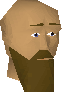 Neil | Old School RuneScape Wiki | Fandom