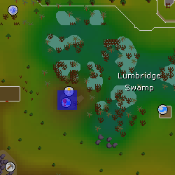 Lumbridge Swamp Caves | Old School RuneScape Wiki | Fandom