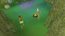 Roving Elves/Quick guide | Old School RuneScape Wiki | Fandom