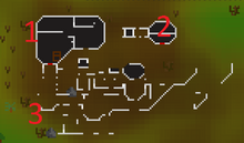 Tree Gnome Village/Quick guide | Old School RuneScape Wiki | Fandom