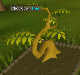 Curry tree | Old School RuneScape Wiki | Fandom