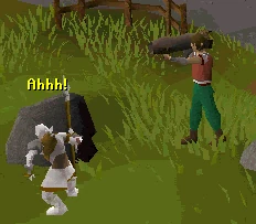 Event rpg | Old School RuneScape Wiki | Fandom