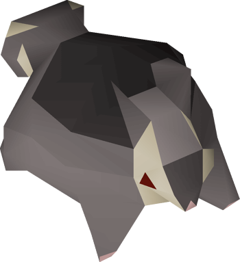 Black chinchompa | Old School RuneScape Wiki | Fandom