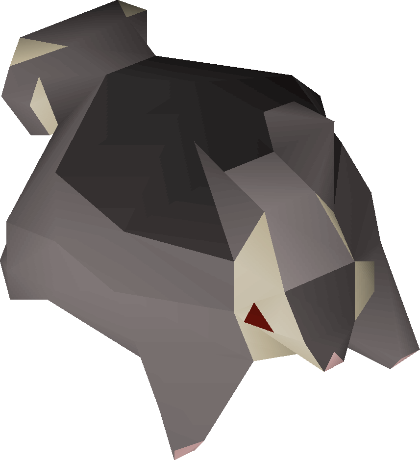 Black chinchompa | Old School RuneScape Wiki | Fandom