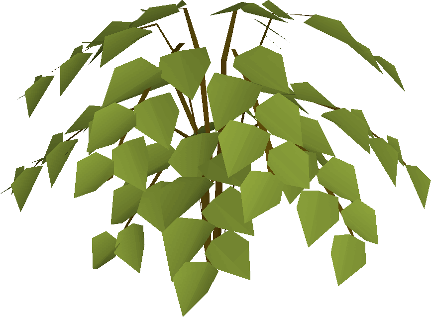 Bush | Old School RuneScape Wiki | Fandom