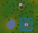 Red chinchompa hunting ground | Old School RuneScape Wiki | Fandom
