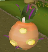 Golovanova fruit | Old School RuneScape Wiki | Fandom