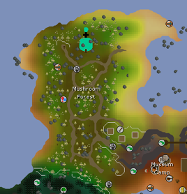 Mushroom Forest | Old School RuneScape Wiki | Fandom