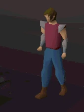 Dinh's bulwark | Old School RuneScape Wiki | Fandom