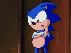 Fat Sonic | Fandom