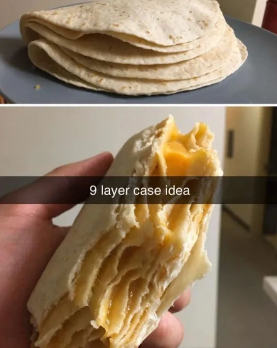9 layer case idea | Fandom