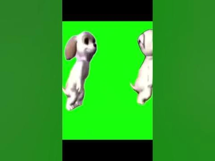 when tll comes back | Fandom