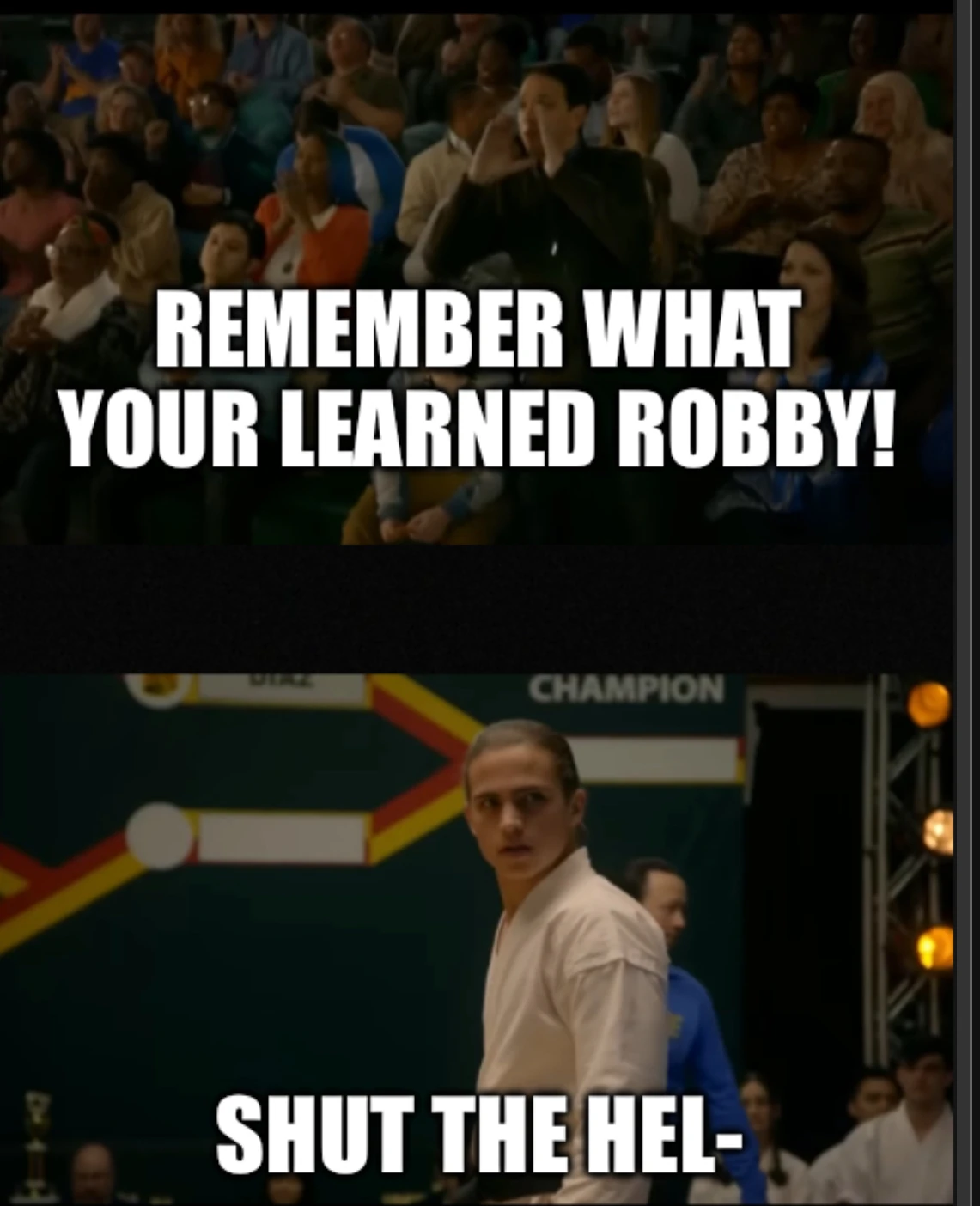 Cobra Kai Meme | Fandom