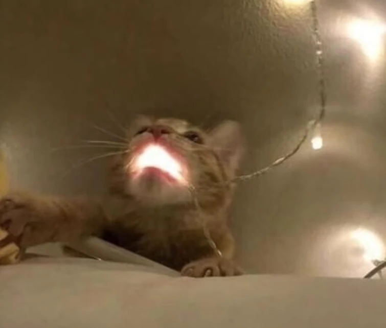 currently sketching something out on paper and | Fandom