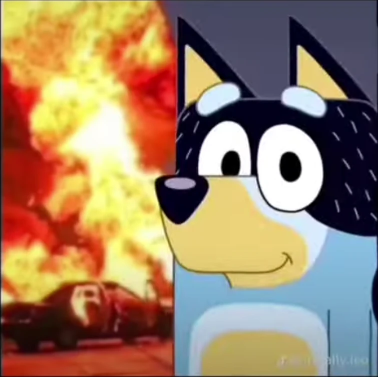 I am Bandit. | Fandom