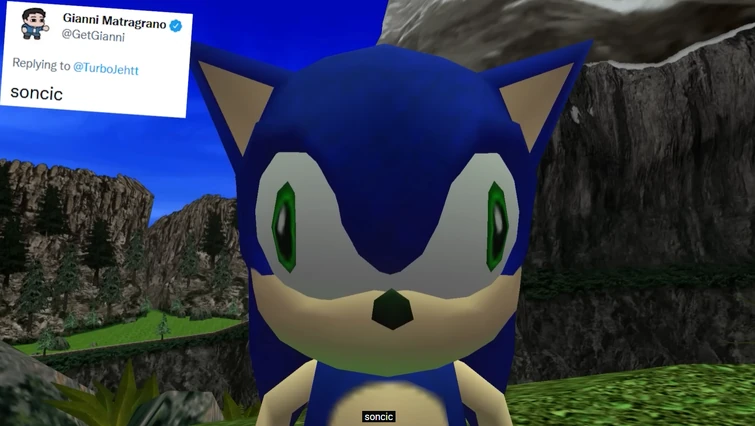 WhO iS sOnIc?/?///???//? | Fandom