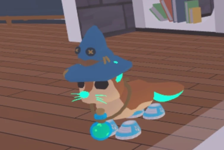 Living wizard hat + potion necklace 🔛🔝 | Fandom
