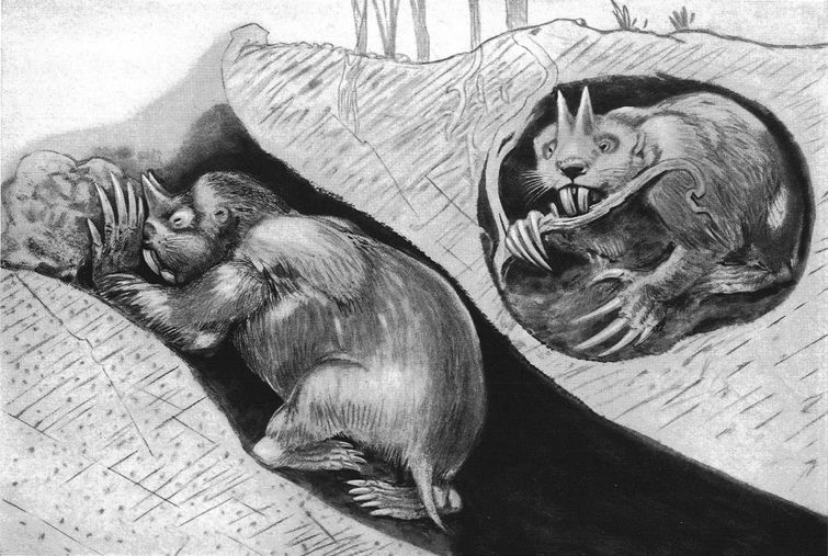 Discuss Everything About Dinopedia | Fandom