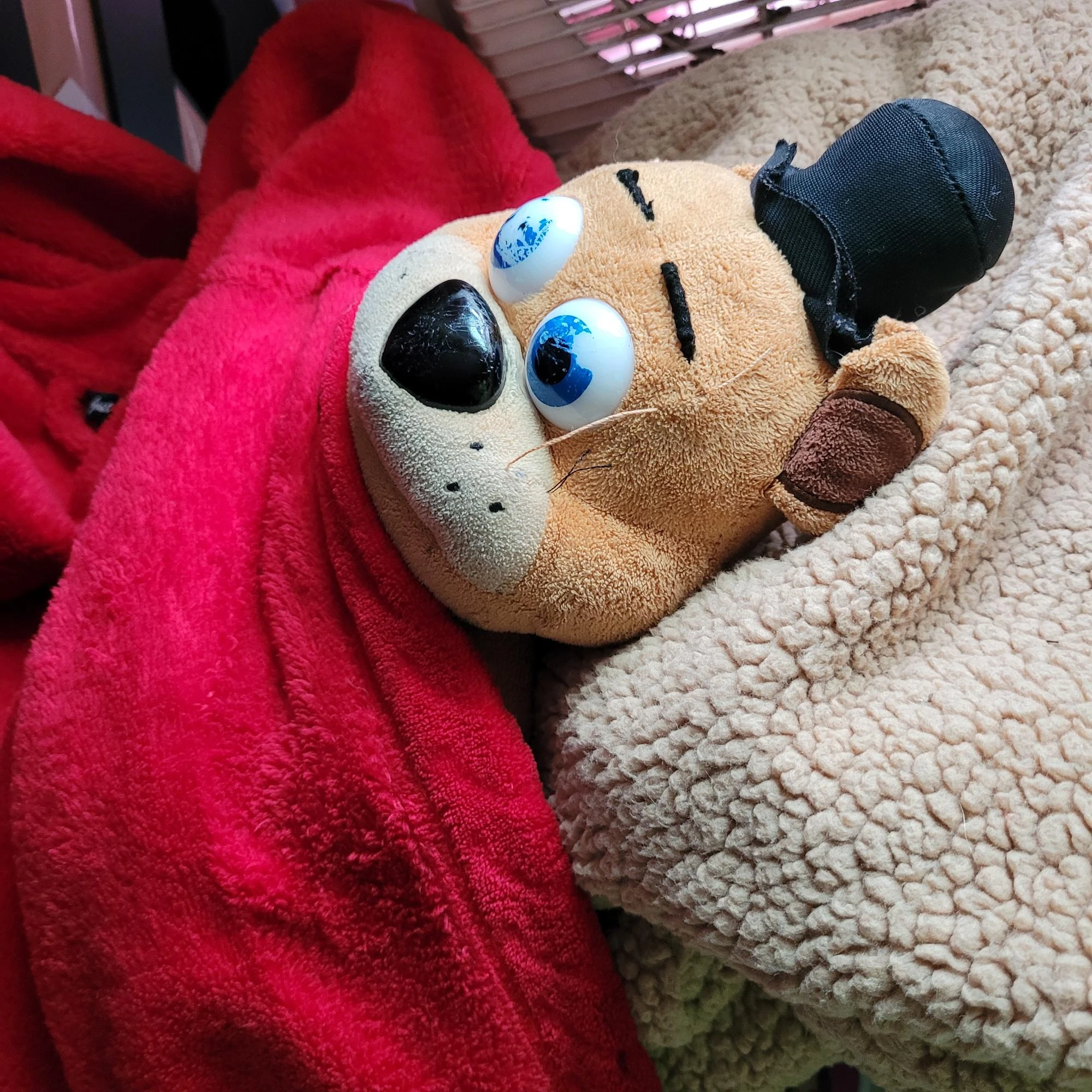 Freddy taking a nap | Fandom