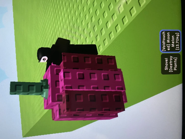 Voidtouched Moon Melon | Fandom