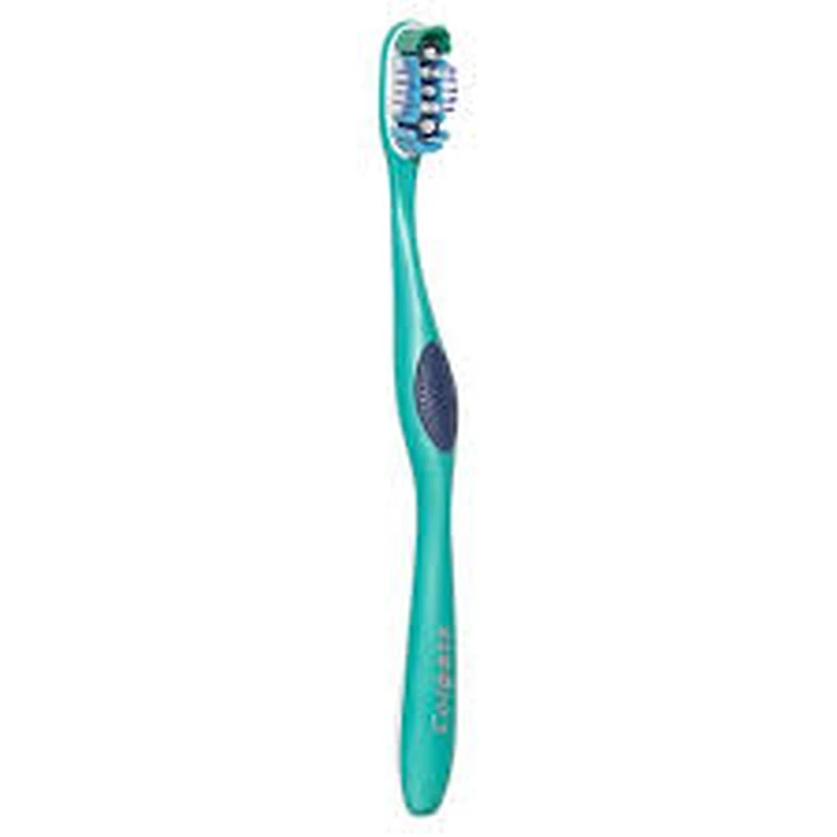 THE TOOTHBRUSH EARTH THEORY | Fandom
