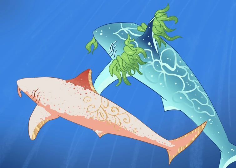 Turned my seawing ocs into sharks | Fandom