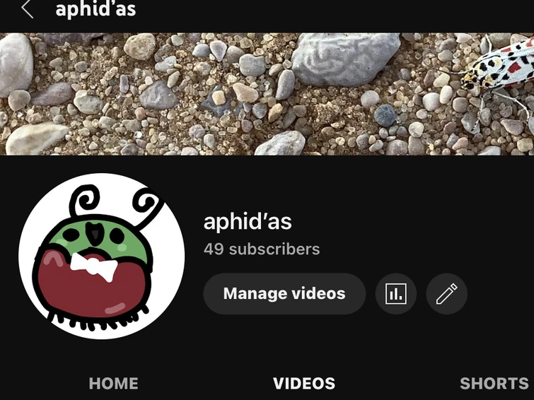 Do you have a page of your channel on Wikitubia? | Fandom