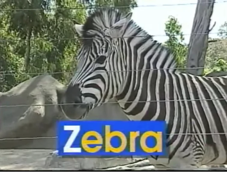 The Alphabet Zoo Video | Fandom