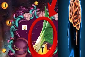 new psyduck Ireland mindboggle leeks. [erly reel leek] | Fandom