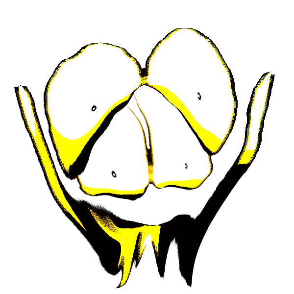 new secret entity | Fandom