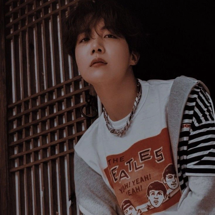 Hobi💜 | Fandom