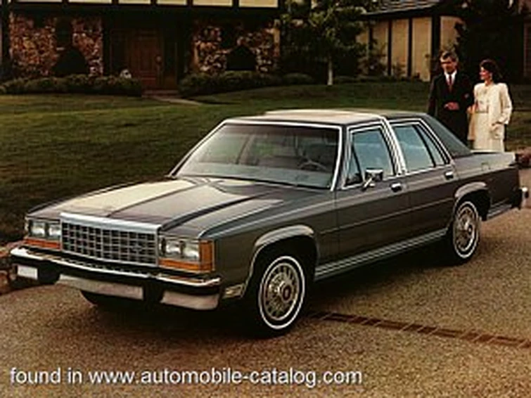 brainrot suggestion time | Fandom