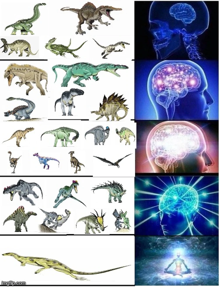 Expanding Brain (Underrated Dinosaurs meme) meme | Fandom
