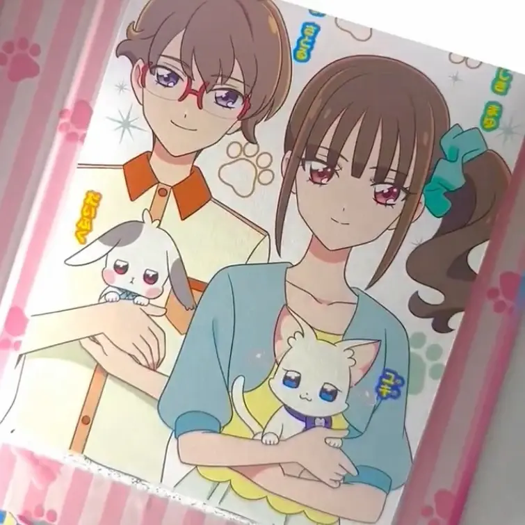 Wonderful Precure coloring book illustration including after coloring ...