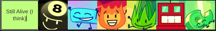 I believe these are all the Contestants/Debuters that are alive after ...