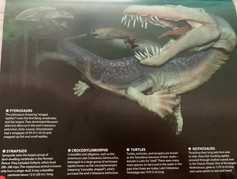 Is It Wrong? Part 13 | Fandom