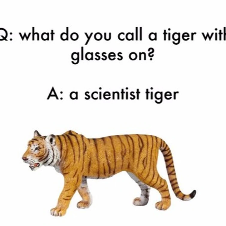 What cookie would tell this joke? | Fandom