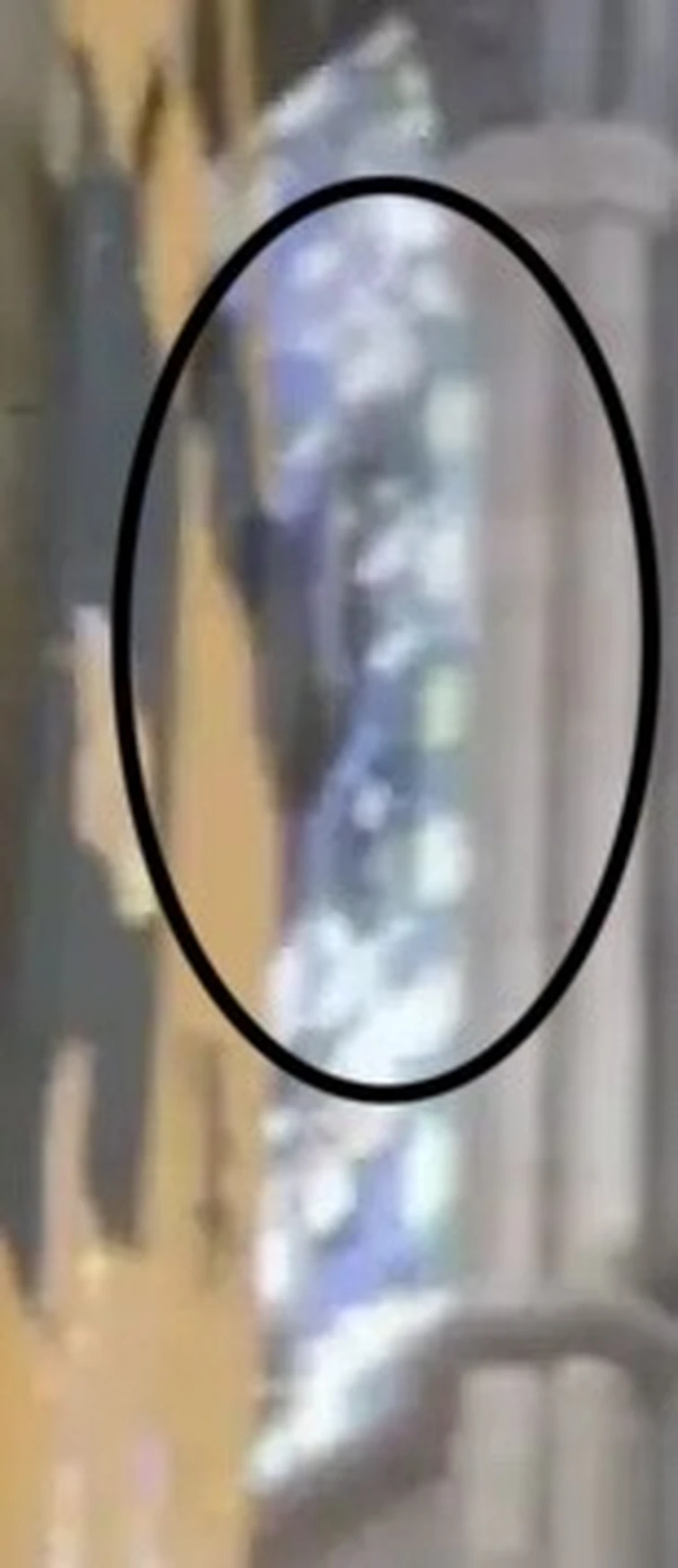 Discuss Everything About Descendants Wiki | Fandom