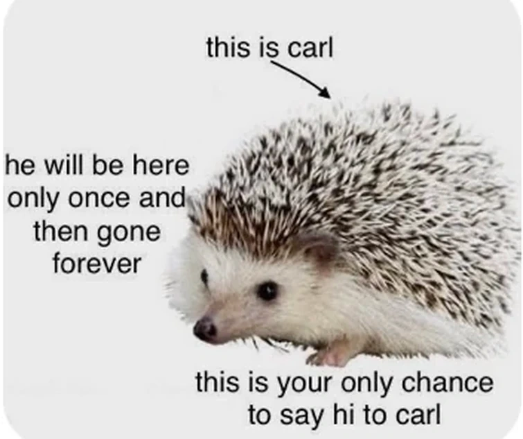 This is carl | Fandom