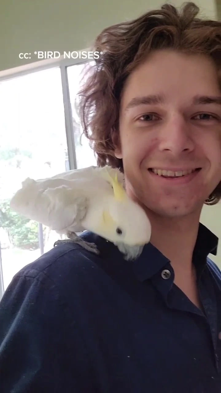 ERETS BIRD AHHHHHHHHHHh | Fandom