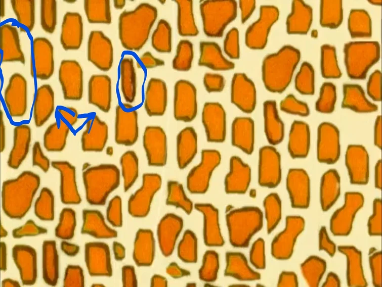 Interesting new discovery | Fandom