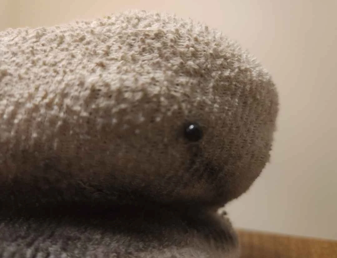 THIS IS THE UNEDITED WHITEY TOKEN IMAGE | Fandom