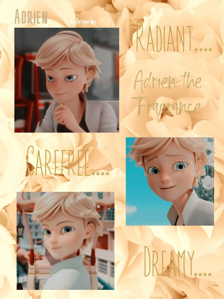 Which one of MY edits do you like the best? | Fandom