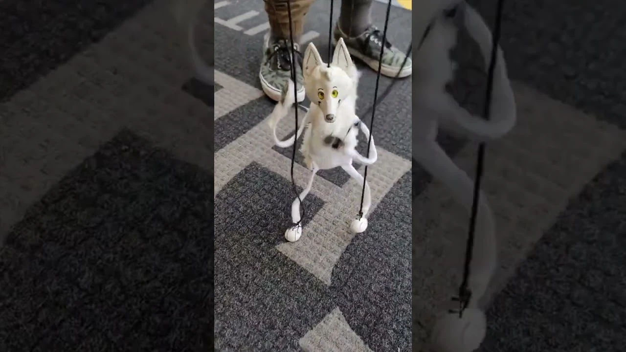 people when they finally got they dream creature in cos | Fandom