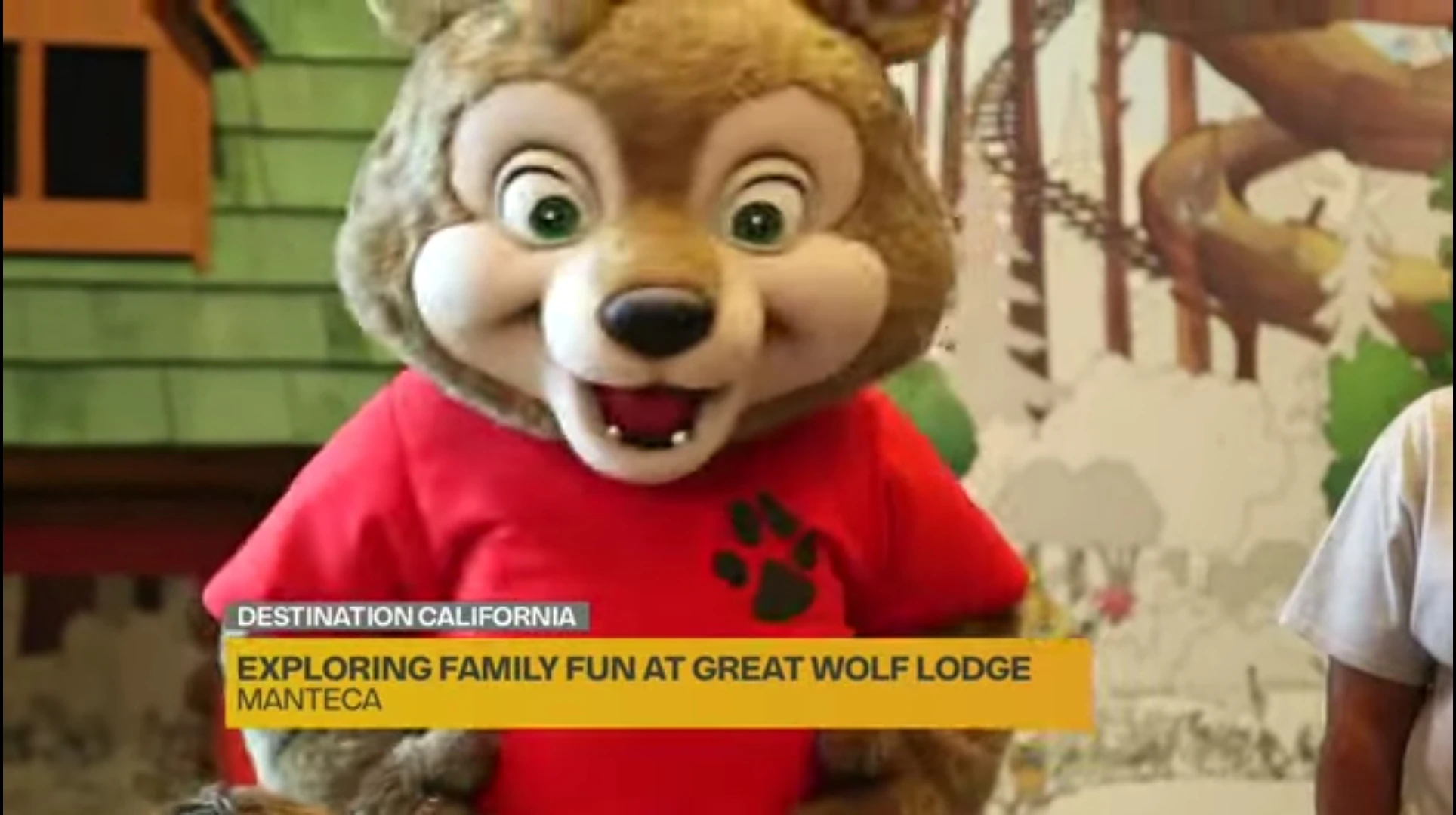 GWL is still using old Wiley Mascot Costume! | Fandom