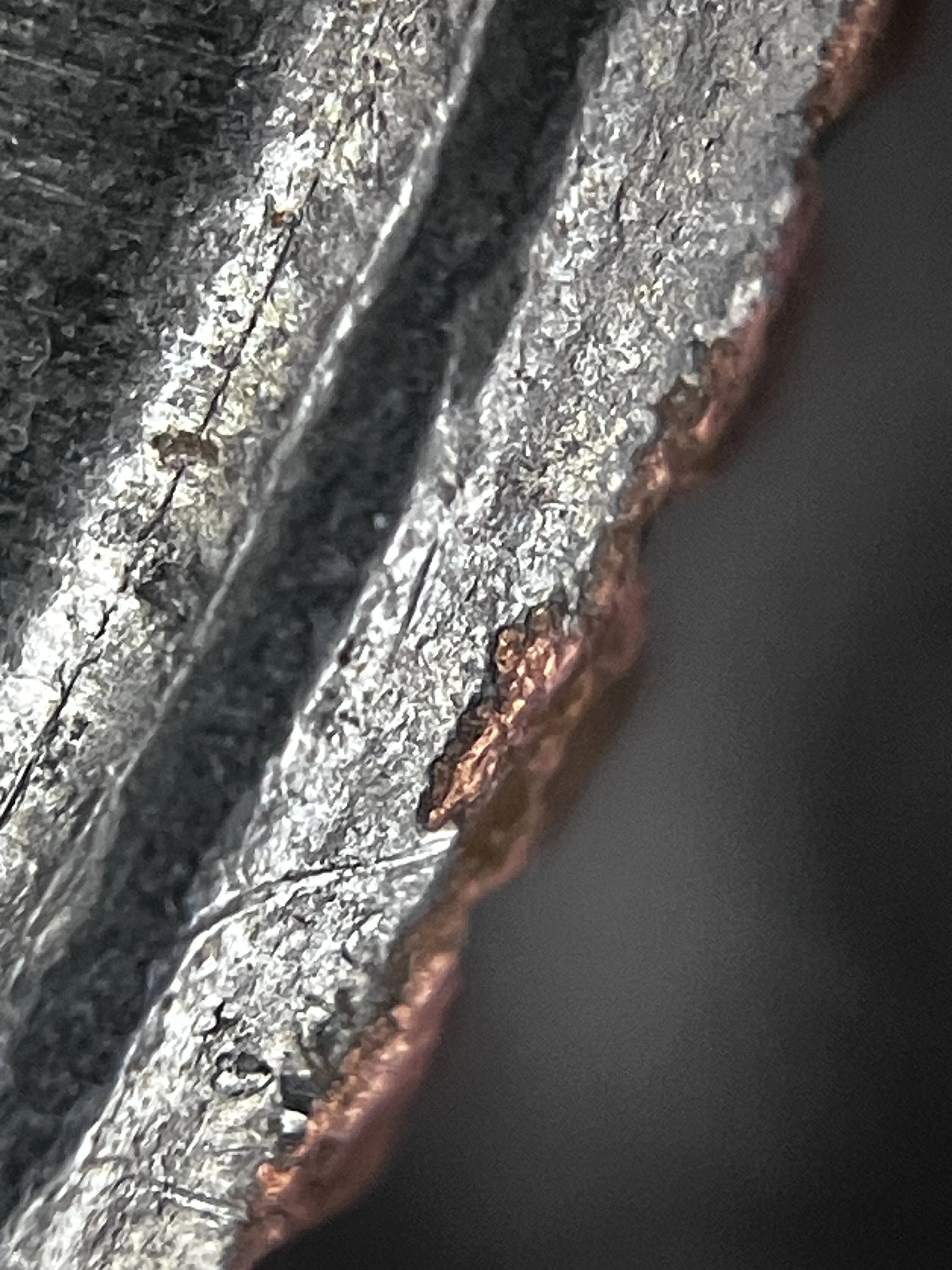 guess the object by the microscopic image | Fandom