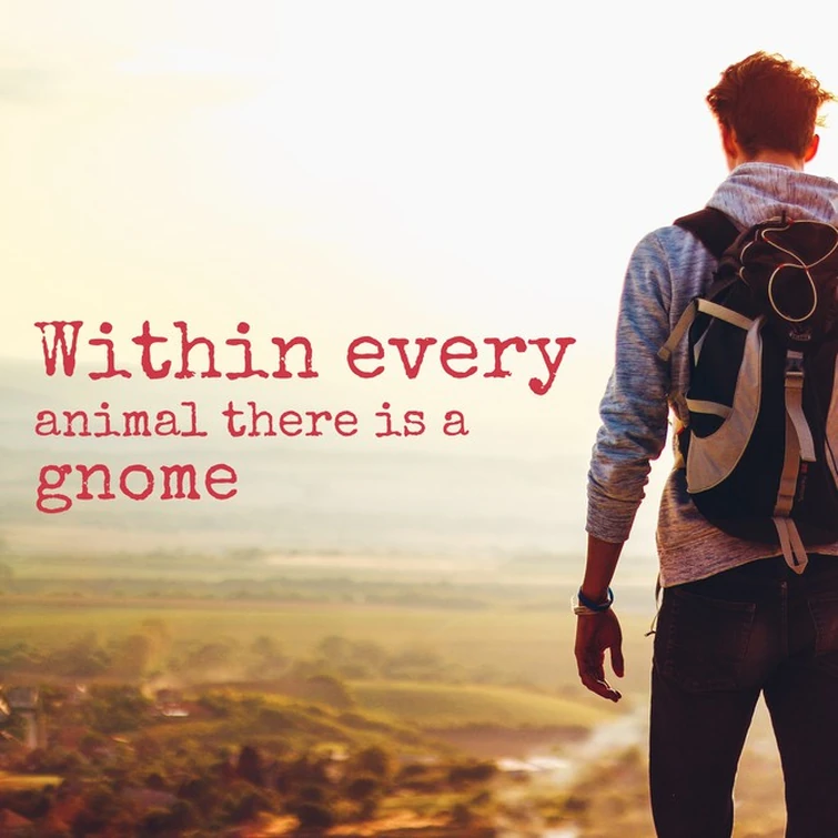 Inspirational quotes | Fandom